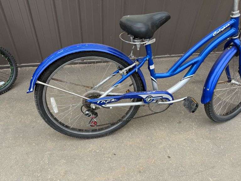 Trek Calypso Multi Speed Bicycle - Lee Real Estate & Auction Service
