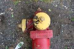 Cast Iron municipal fire hydrant, yellow covers - Lee Real Estate ...