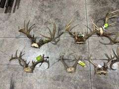 Whitetail Antler Racks - Lee Real Estate & Auction Service