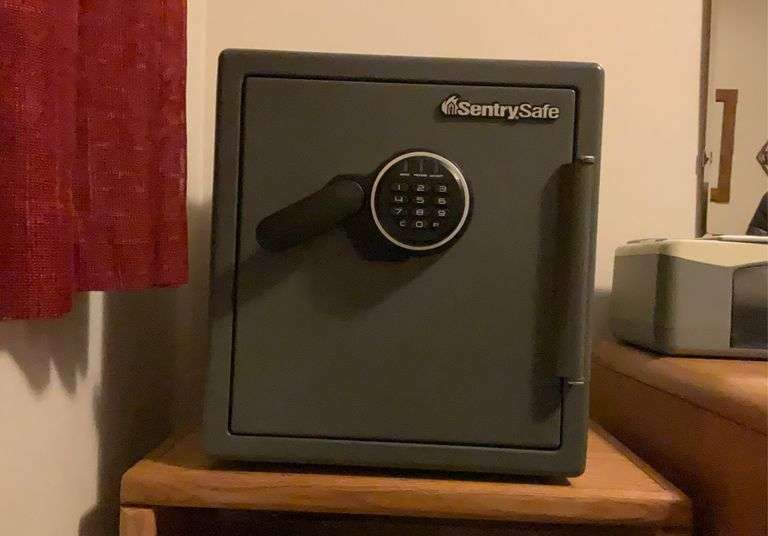 Sentry Safe Fire Rating Class 350 1Hr - Hamilton-Maring Auction Group