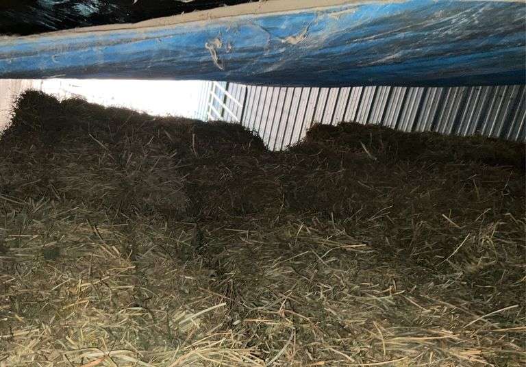 (30) Bales 2nd Crop Small Square Bales, no rain, selling 30x ...