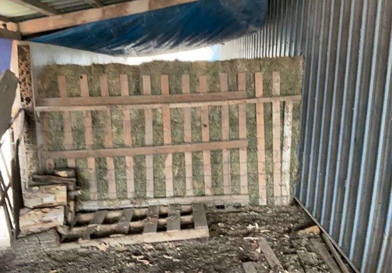 (30) Bales 2nd Crop Small Square Bales, no rain, selling 30x ...