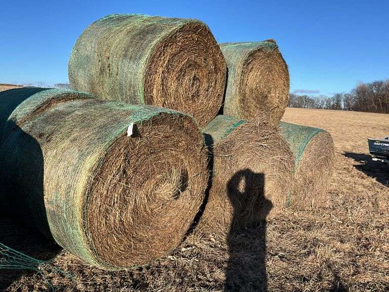 (8) Grass Hay Bales, 5x5, Net Wrap, average weight - Hamilton-Maring ...