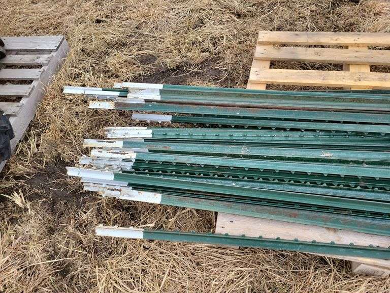 (30) Steel T-Posts - Hamilton-Maring Auction Group