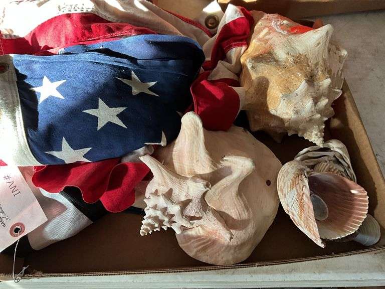 American Flag, Seashells - Hamilton-Maring Auction Group