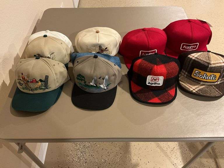 (12) Seed Corn Companies Hats - Hamilton-Maring Auction Group