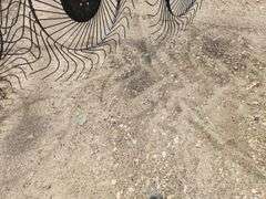 2023 Faza RP-5, 5 Wheel Hay Rake, 3Pt., - Hamilton-Maring Auction Group