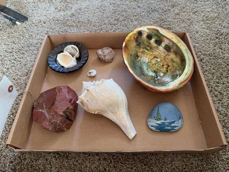 Sea Shells, Fred Harvey Granite Stone,Colorful Shells, - Hamilton ...