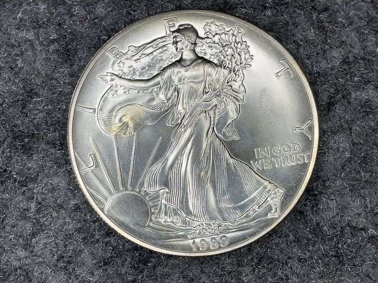 1989 Standing Liberty Silver Dollar, 1 oz. Fine Silver, ungraded ...