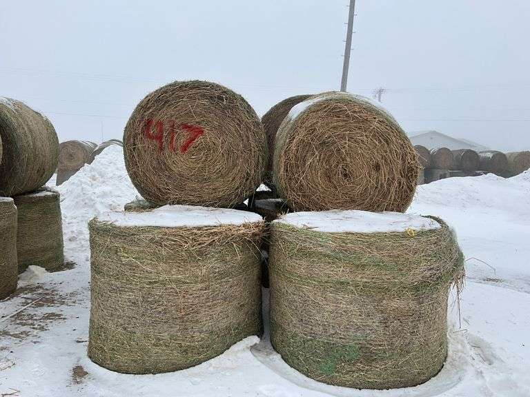 ** Lot will be sold times the money (10) Net wrapped round 4ft grass ...