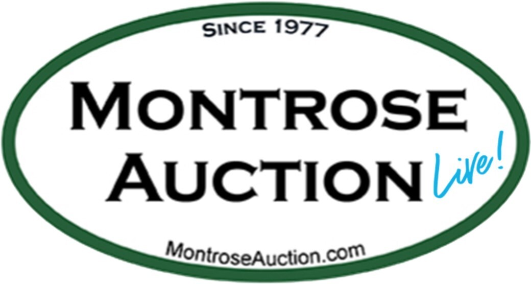 Browning B80 Semi Shotgun 12 GA - Montrose Auction, Inc