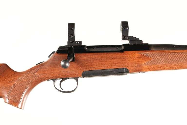 RWS Titan 6 Bolt Rifle .243 Win - Montrose Auction, Inc