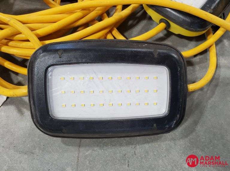 Southwire 50' - 5 Module LED String Lights - Adam Marshall Land ...