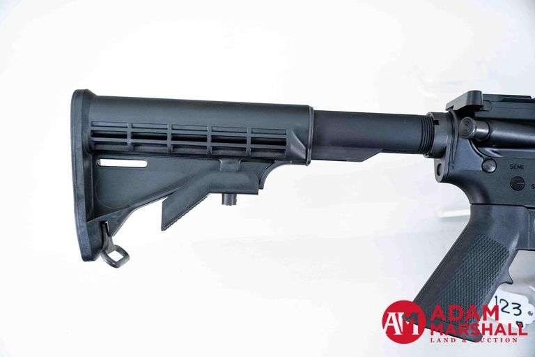 Del-Ton Model DTI-15 Echo 316 Semi-Auto Rifle - 5.56 MM - SN: DTI ...