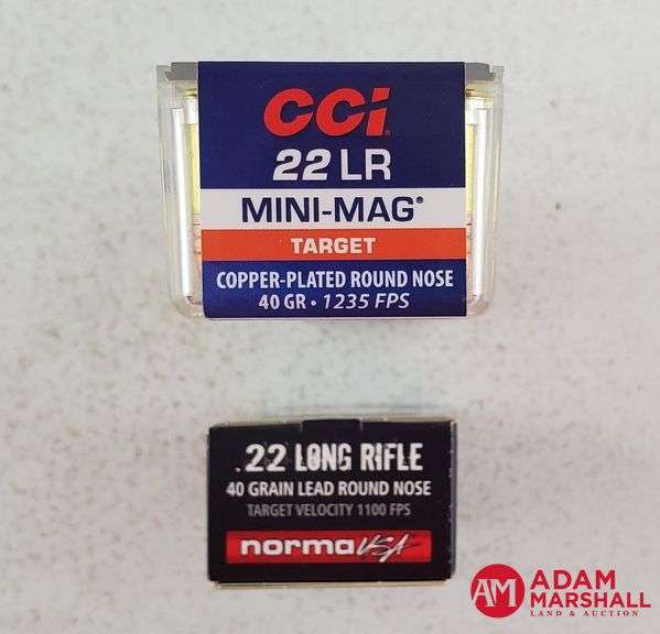22 LR - 40 Gr: CCI Mini-Mag Target (1 X 100) + Norma TAC-22 (1 X 50 ...