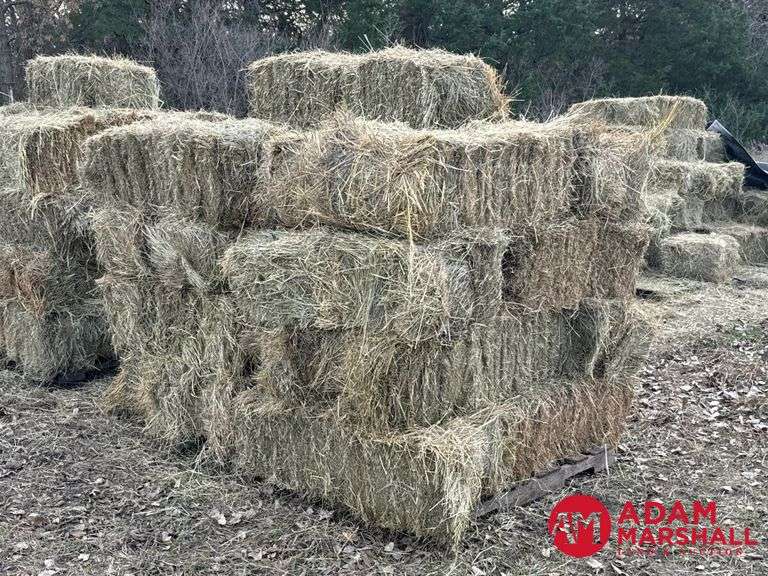 (25) Small Square Bales Brome / Native Grass Blend Hay - Adam Marshall ...