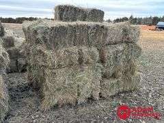 (25) Small Square Bales Brome / Native Grass Blend Hay - Adam Marshall ...