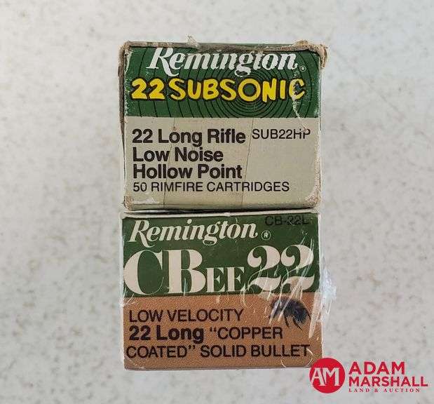Remington 22: LR Subsonic HP (1 X 50) + CBee22 Low Velocity Long Copper ...