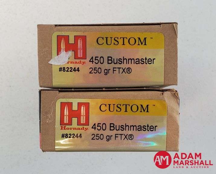 Hornady Custom 450 Bushmaster - 250 Gr FTX (2 X 20) - Adam Marshall ...