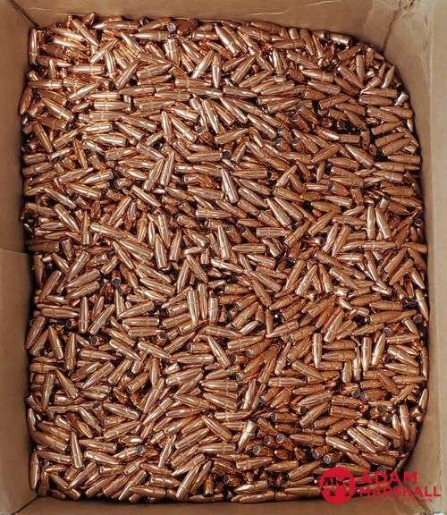 Bullets - Lightning Ammo - 22 Cal, 224 Dia, 55 Gr FMJ-BT W/Cannelure (1 ...
