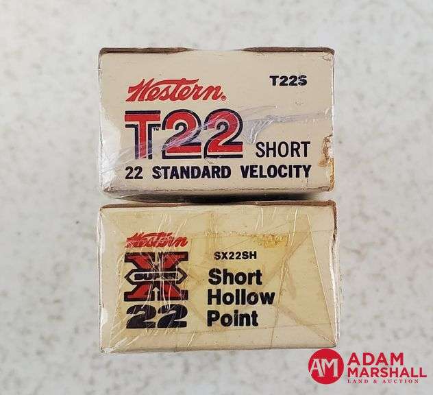 Western 22 Short: T22 Standard Velocity 29 Gr (1 X 50) + Hollow Point ...