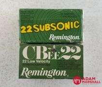 Remington 22: LR Subsonic HP (1 X 50) + CBee22 Low Velocity Long Copper ...