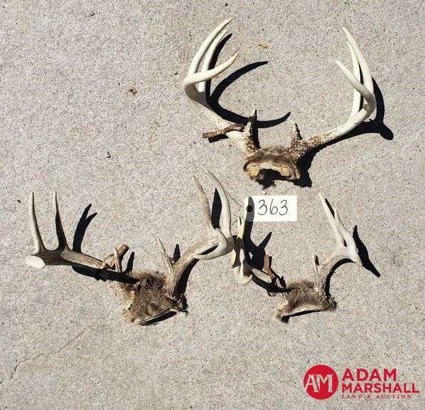 (3) Deer racks - Adam Marshall Land & Auction, LLC