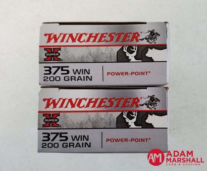 Winchester Super X Power-Point 375 Win - 200 Gr (2 X 20) - Adam ...