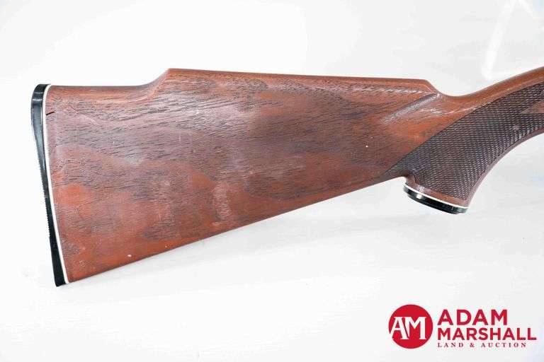 BB Gun - Ted Williams/Sears, Roebuck & Co (Daisy)Model 799 BB Gun ...