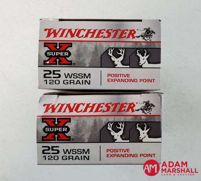 Winchester Super X 25 WSSM - 120 Gr Positive Expanding Point (2 X 20 ...