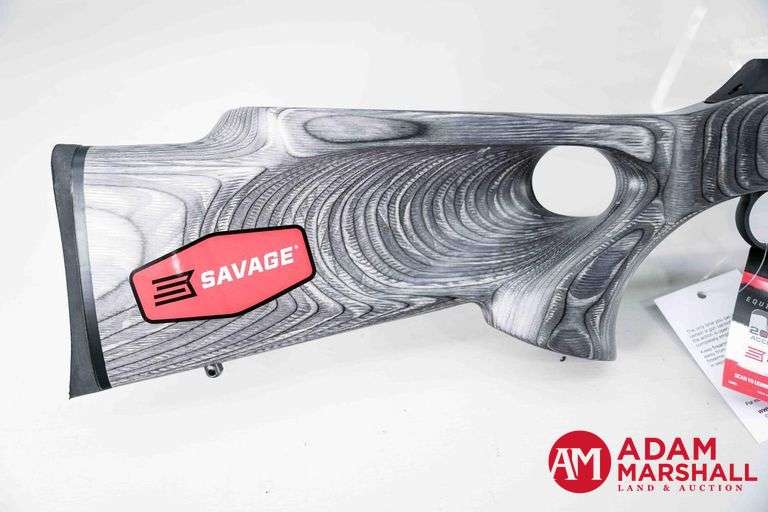 Savage Arms Model A17 Target Semi-Auto Rifle - 17 WSM - SN: R222233 ...