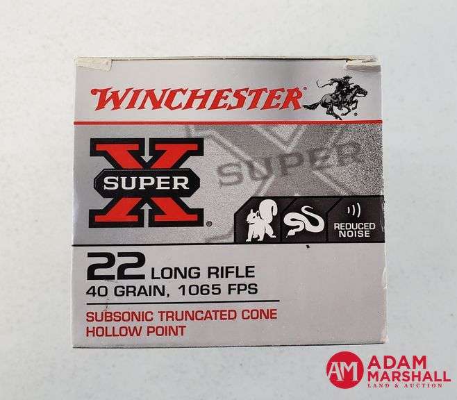 Winchester Super-X 22 LR - 40 Gr HP (1 X 500) - Adam Marshall Land ...