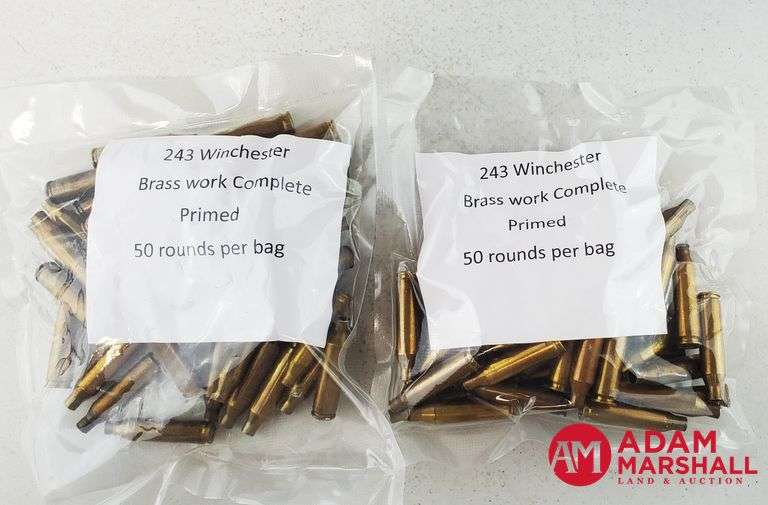 Brass Only - 243 Winchester - Brass Work Completed - Primed (100 Pcs ...