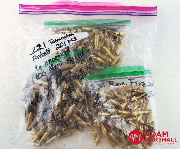 Brass Only - 221 Rem Fireball - Once Fire (101 Pcs) + New (100 Pcs ...