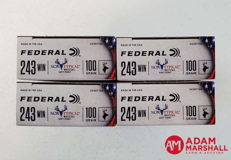 Federal Non Typical Whitetail 243 Win - 100 Gr Soft Point (4 X 20 ...
