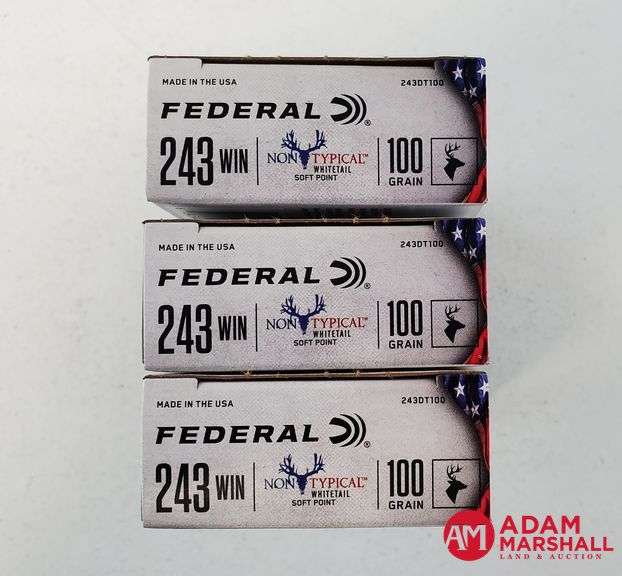 Federal Non Typical Whitetail 243 Win - 100 Gr Soft Point (3 X 20 ...