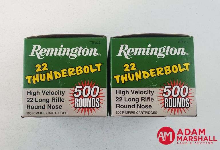 Remington 22 Thunderbolt High Velocity 22 LR - 40 Gr Lead RN (2 X 500 ...