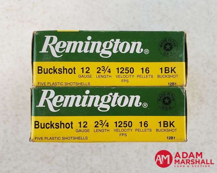 Remington Buckshot - 12 GA, 2-3/4", 1 Buck, 16 Pellet (2 X 5 ...