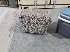 Two Coolers: Igloo Roll & Glitzy Leopard Print Models - Adam Marshall ...