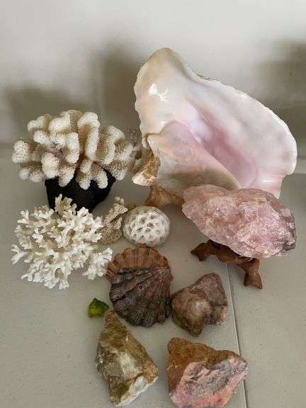 Coral, Shells and Crystals - Marquette Auction Services
