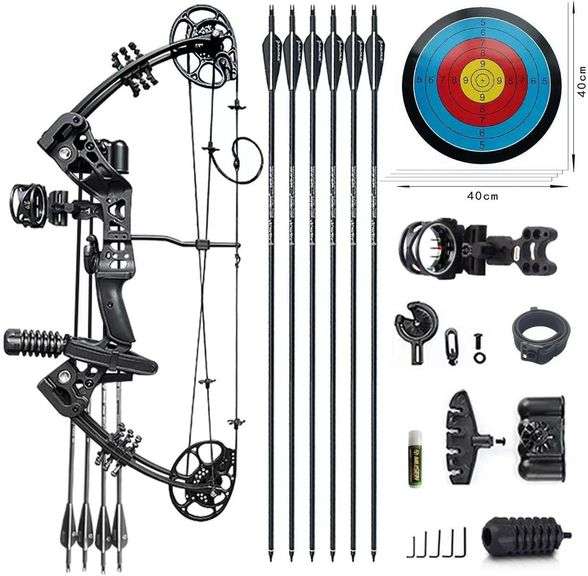 PANDARUS Compound Bow Set 15-45lbs for Pull Beginner and Teens Right ...