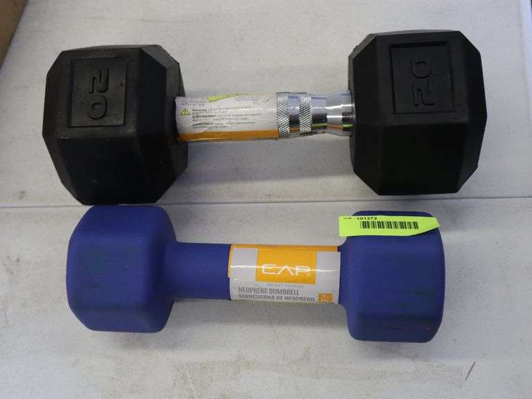 20 lb dumbbell and 12 lb dumbbell - Matthews Auctioneers