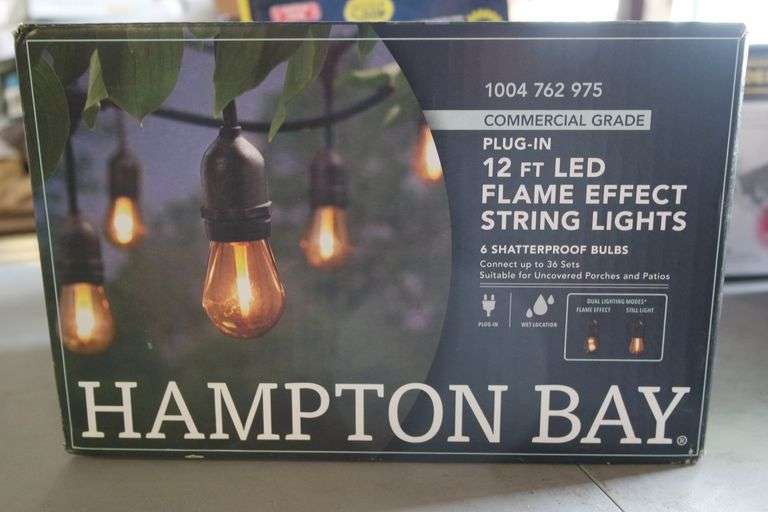 6-Light 12 ft. Indoor/Outdoor Plug-In LED S14 Flame Effect String Light ...