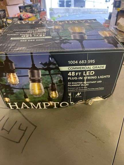 24-Light Indoor/Outdoor 48 ft. String Light with S14 Single Filament ...