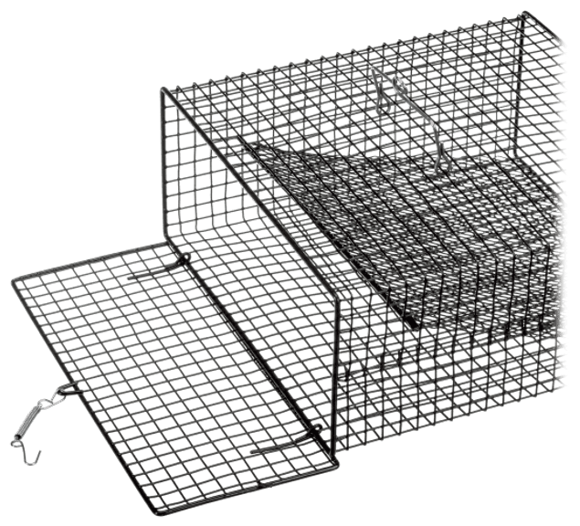 Bass Pro Shops Rectangle-Shaped Crawfish Trap - Matthews Auctioneers