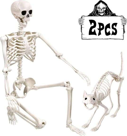 XOYTN 5.4Ft Halloween Life Size Human Skeletons with Cat Skeleton ...