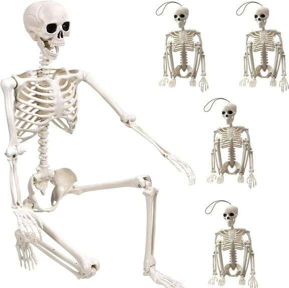 5.4FT Skeleton with 4Pcs 16" Mini Skeleton for Halloween Decorations ...