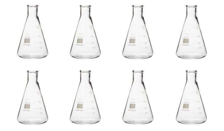 Labnique Borosilicate 3.3 Glass Conical Flask, Erlenmeyer Flask with ...