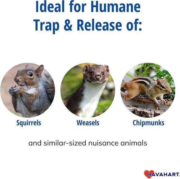 Havahart 1026 Small 1-Door Humane Live Catch and Release Animal Trap ...