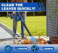 Cordless Leaf Blower and AUXTUR Powerful Butane Torch - Matthews ...